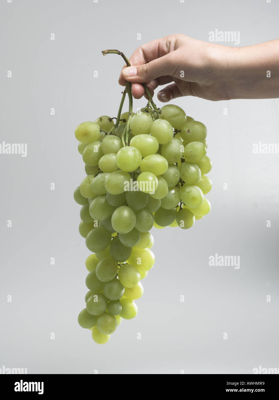 Tablegrapes hi-res stock photography and images - Alamy
