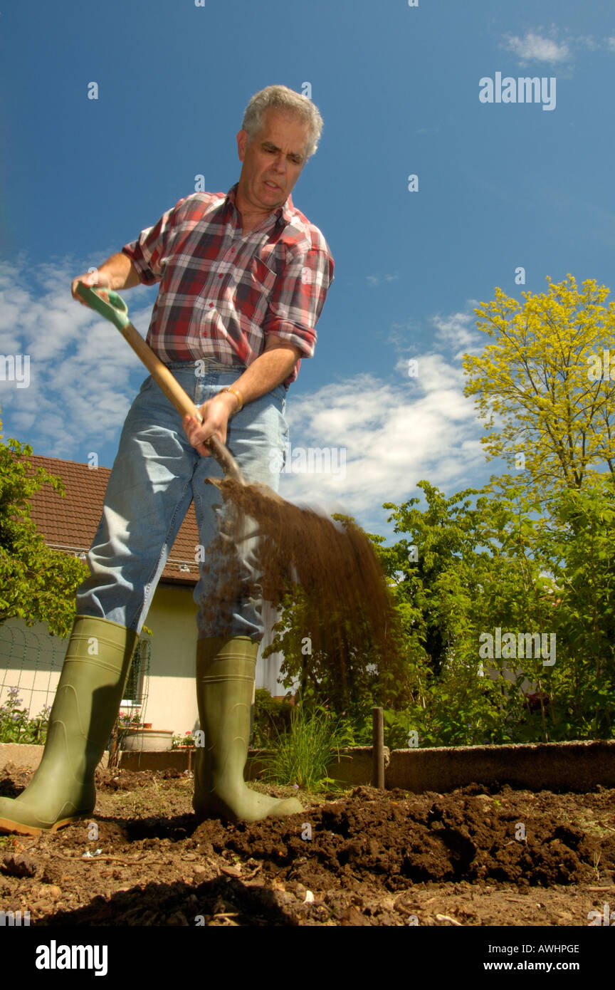 Digging the garden Stock Photo - Alamy