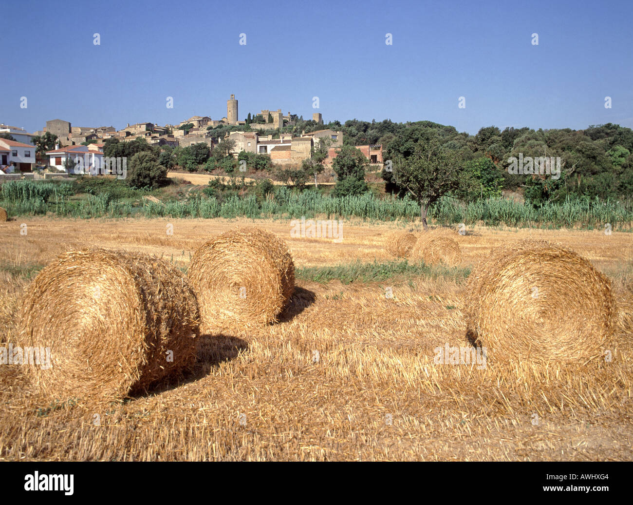 Farming landscape near Pals in Costa Brava with farmers round straw ...