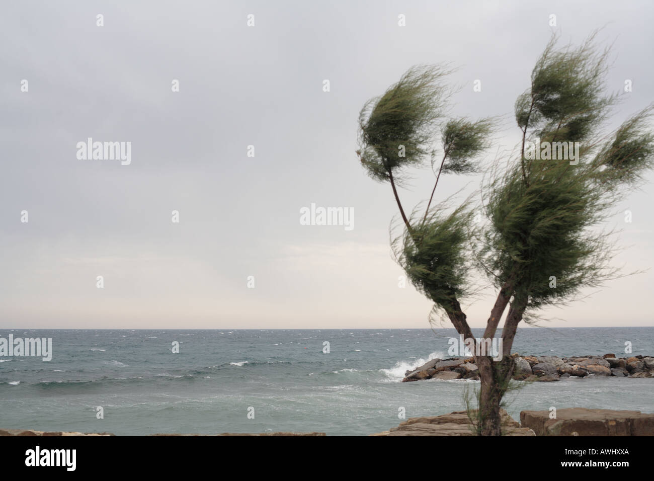 Riva ligure hi-res stock photography and images - Alamy