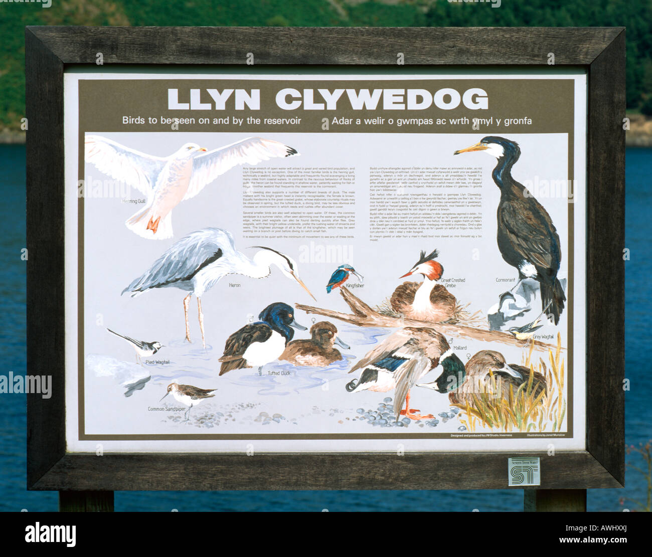 Llyn Clywedog Nature Trail sign Powys, Wales, UK Stock Photo - Alamy