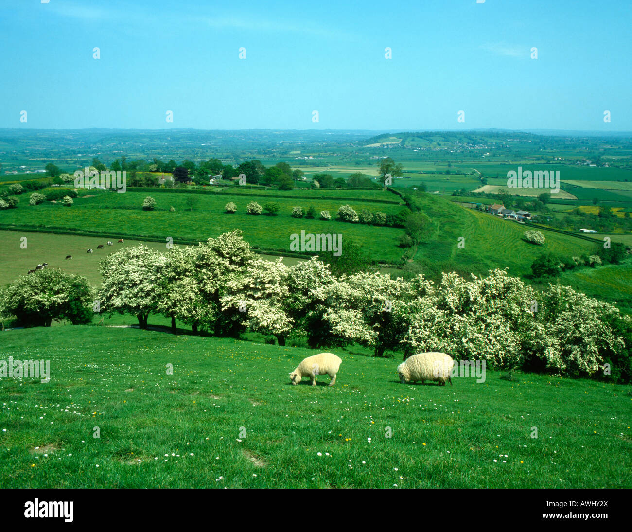 Mendip hi-res stock photography and images - Alamy