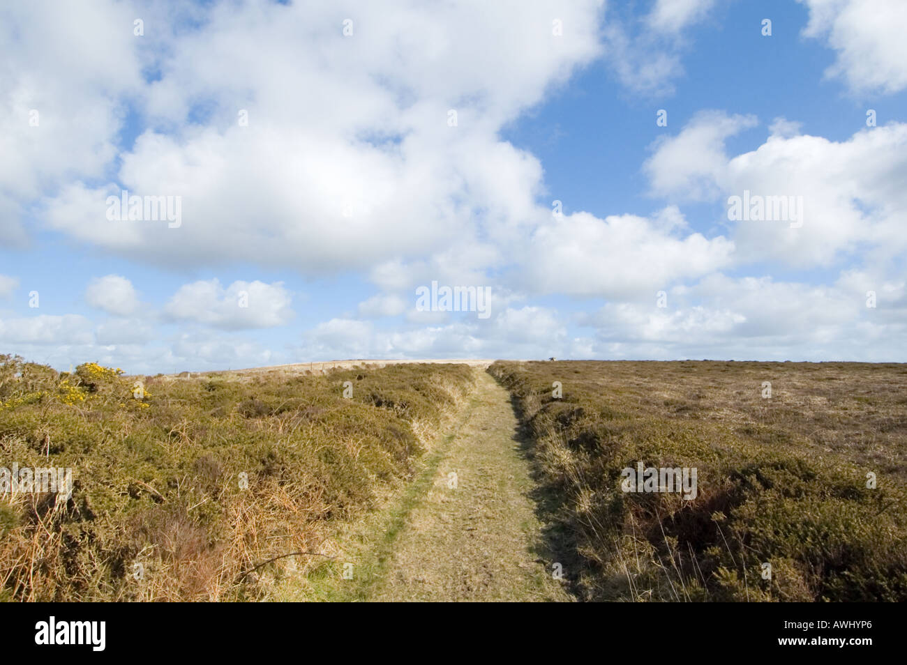 Cornish Coastal Path Stock Photo - Alamy