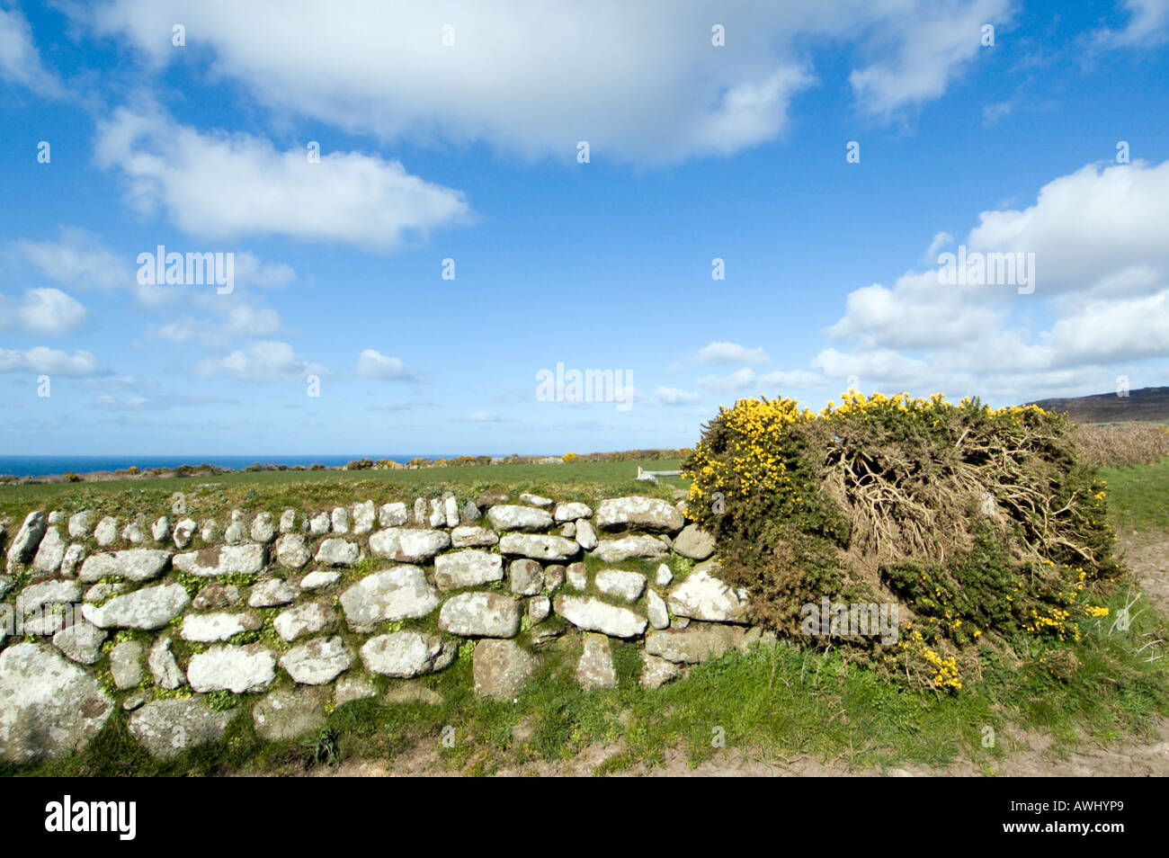 Cornish art and craft hi-res stock photography and images - Alamy