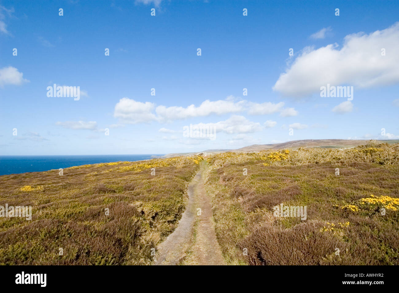 Cornish Coastal Path Stock Photo - Alamy