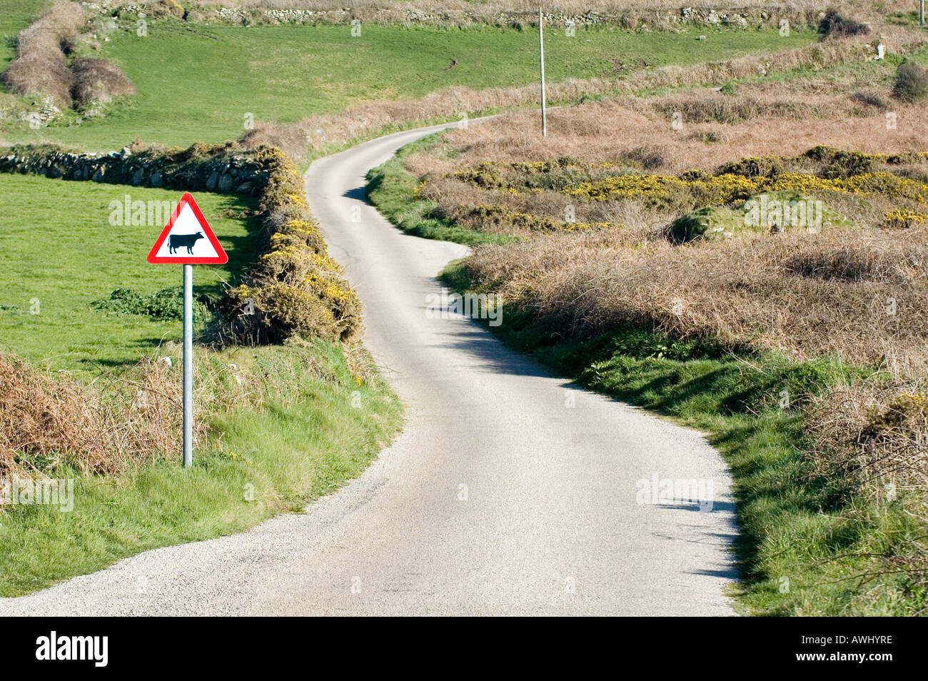 Winding country road with beware cows sign Stock Photo - Alamy