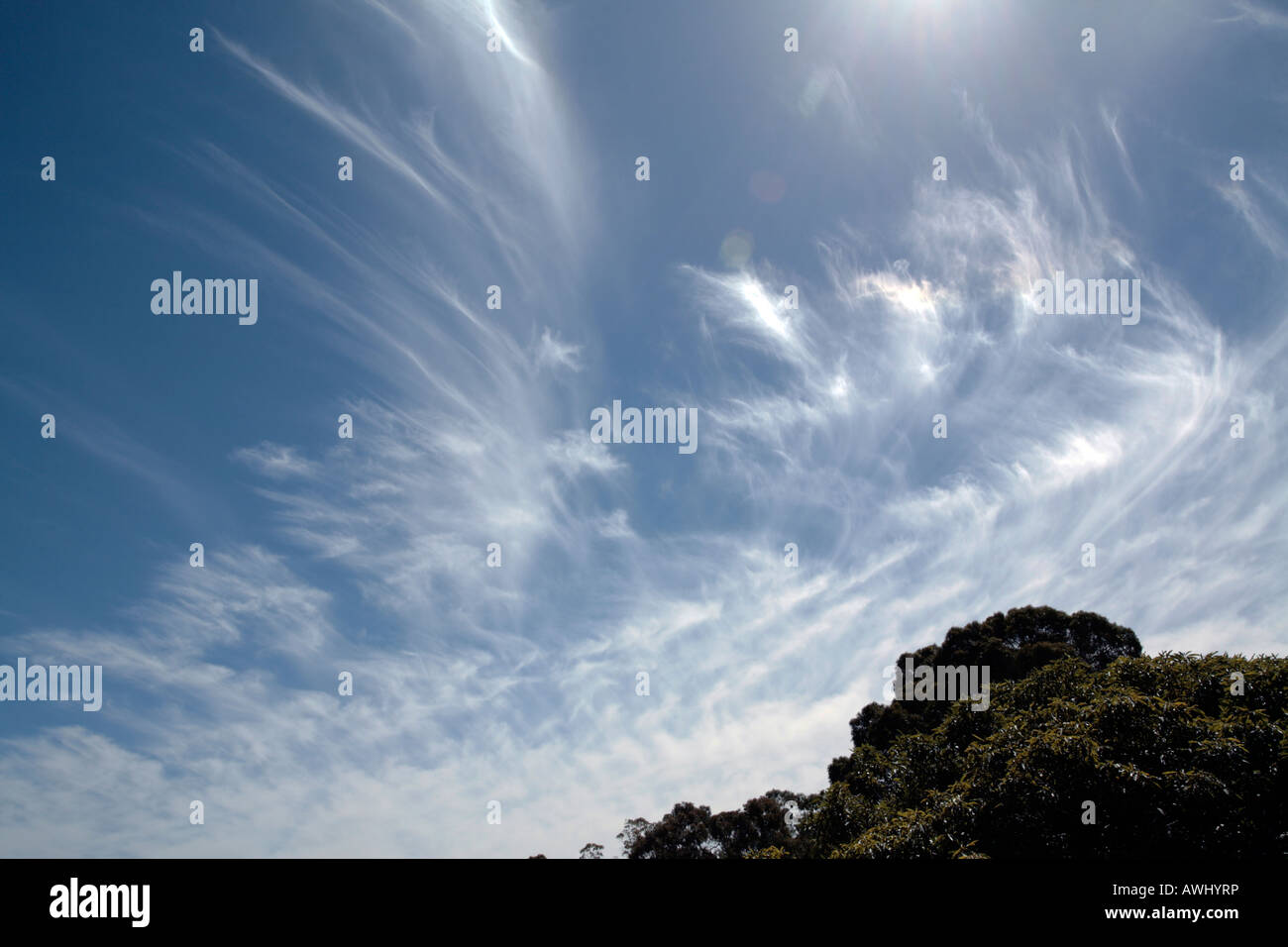 Vertebratus clouds hi-res stock photography and images - Alamy