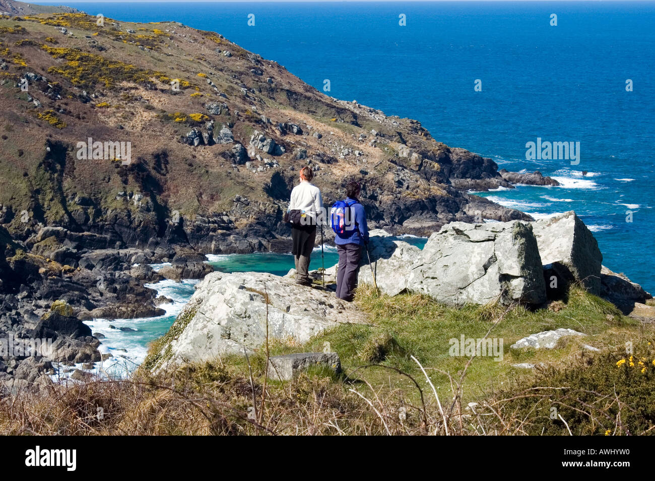 Cornish coast path wildlife hi-res stock photography and images - Alamy