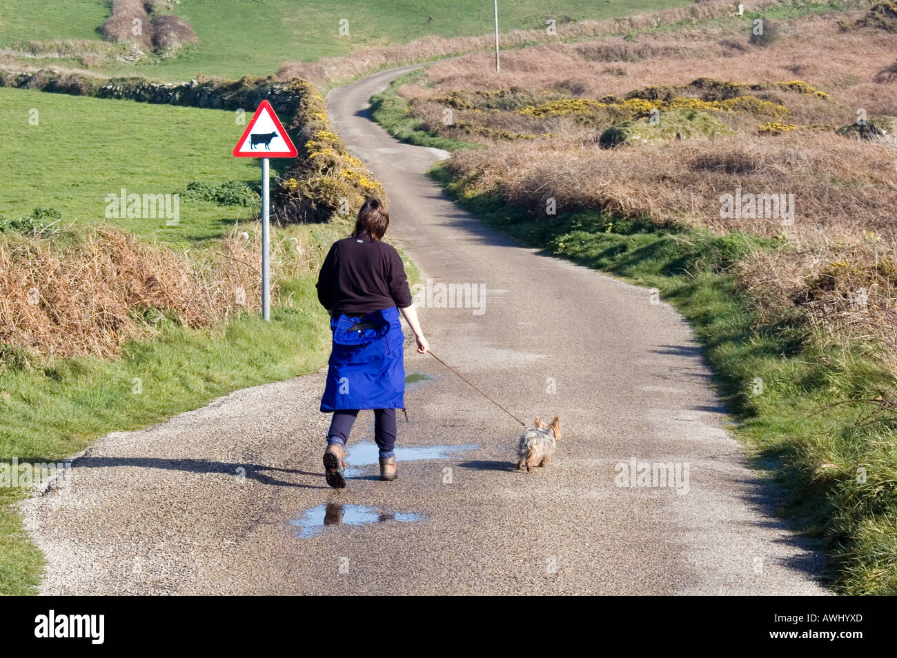 Lady lane hi-res stock photography and images - Alamy