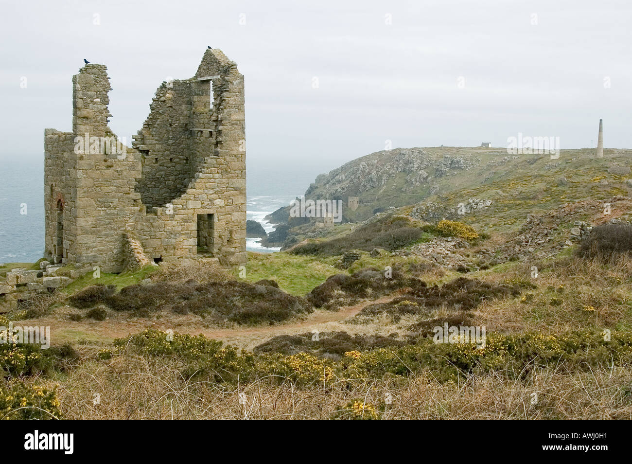 Tin mines on north cornwall hi-res stock photography and images - Alamy