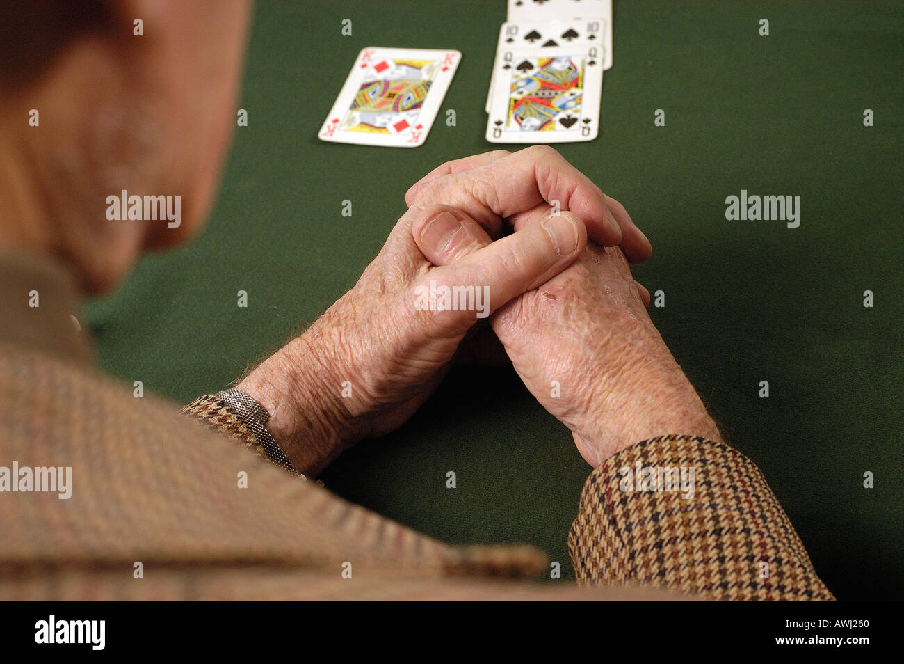 Elderly man studying cards during game of bridge Stock Photo - Alamy