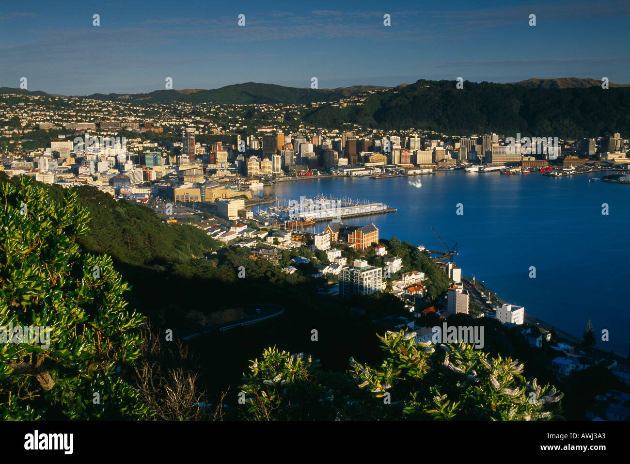 Wellington harbour new zealand hi-res stock photography and images - Alamy