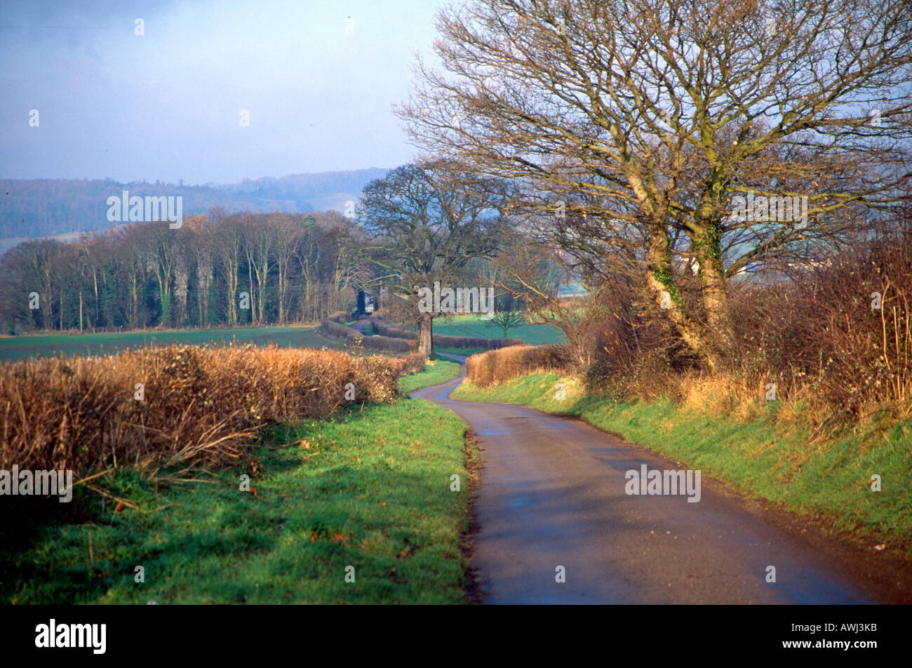 Winter landscape with road receding into the distance through hedgerows ...