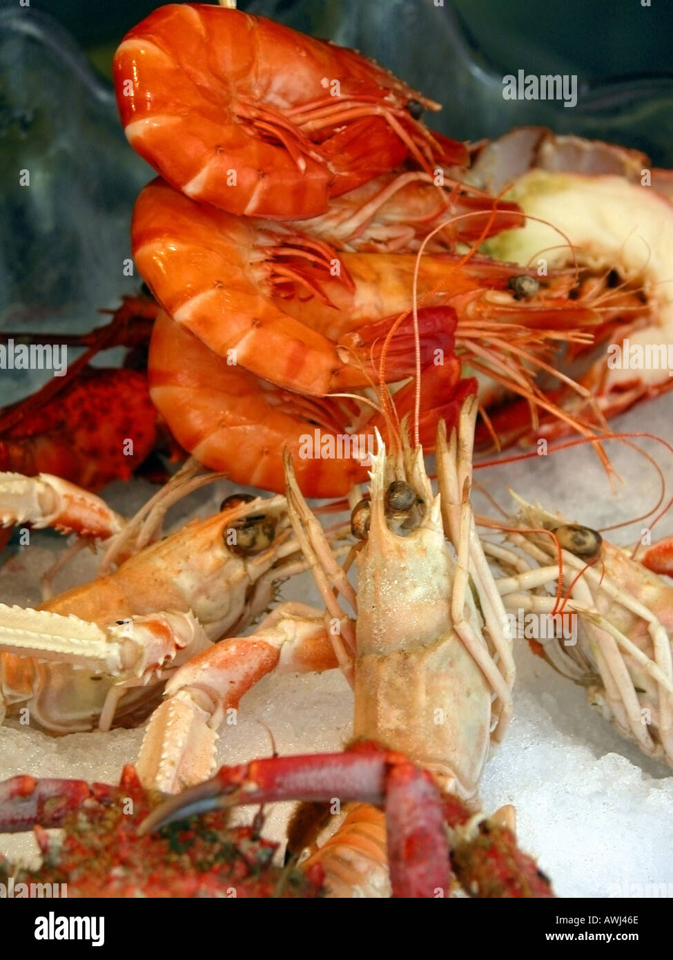 Paris display of shell fish at Le Procope restaurant in St Germain des ...