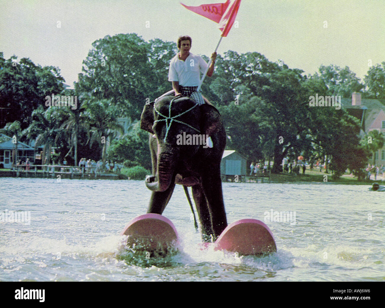 HONKEY TONK FREEWAY 1981 EMI film with William Devane Stock Photo - Alamy