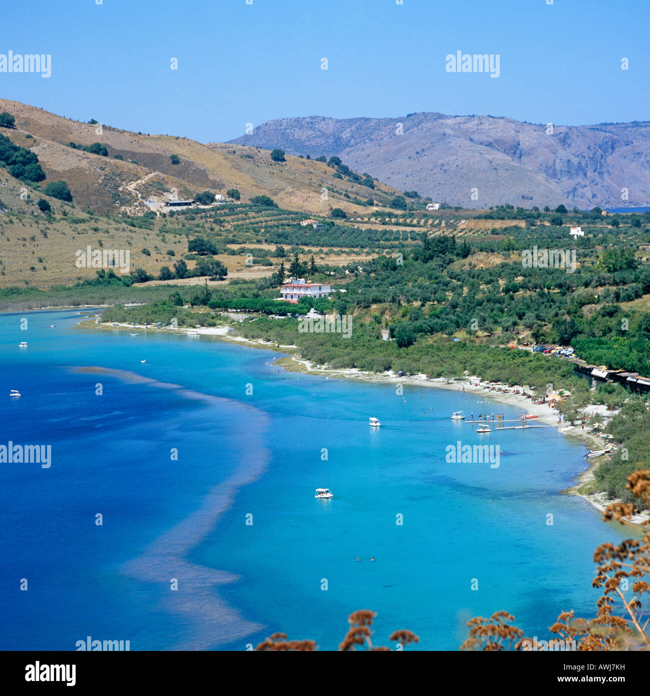 Freshwater swimming crete hi-res stock photography and images - Alamy