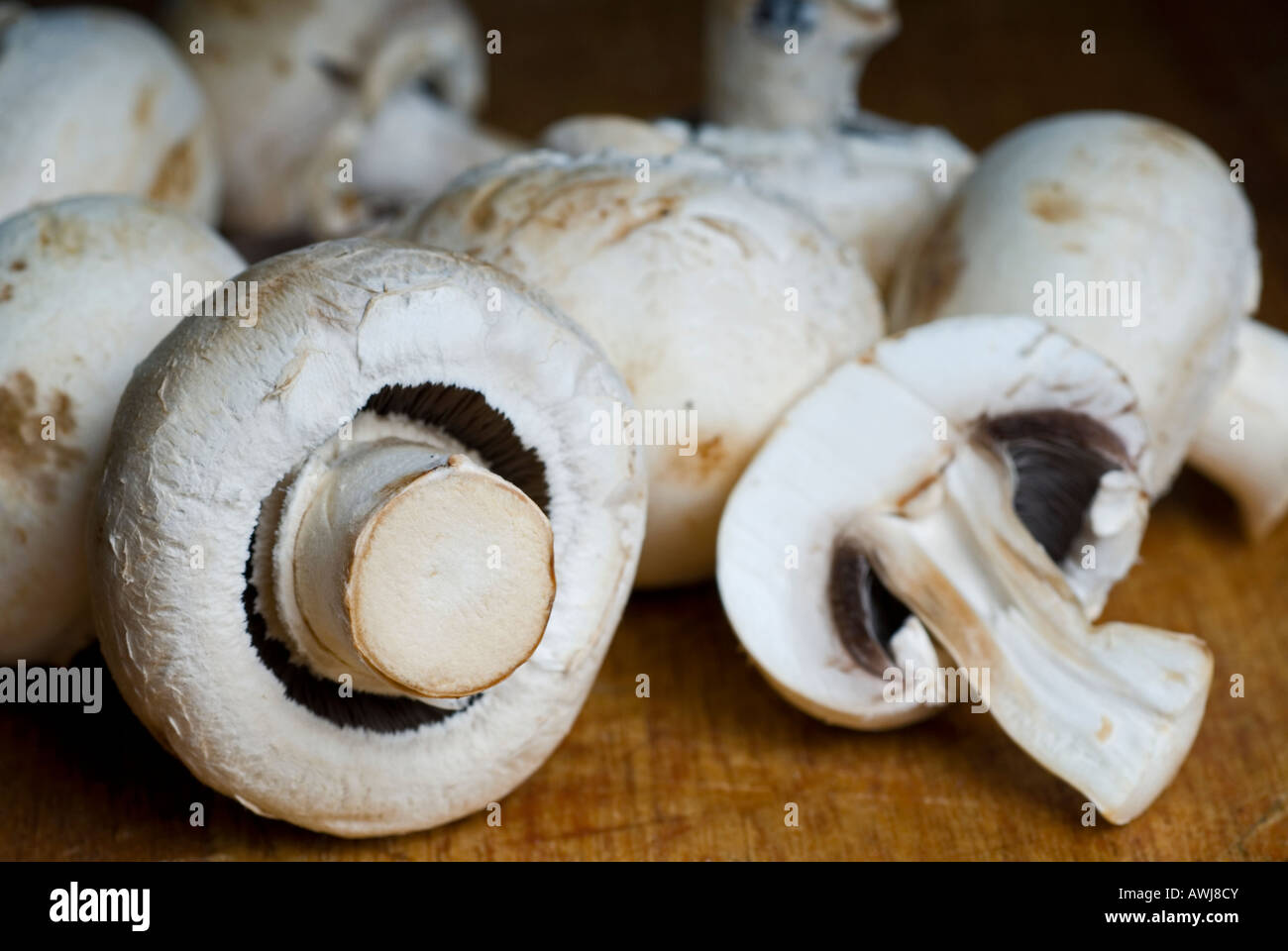 Stock photo of a pile of common field mushrooms lying on a wooden ...