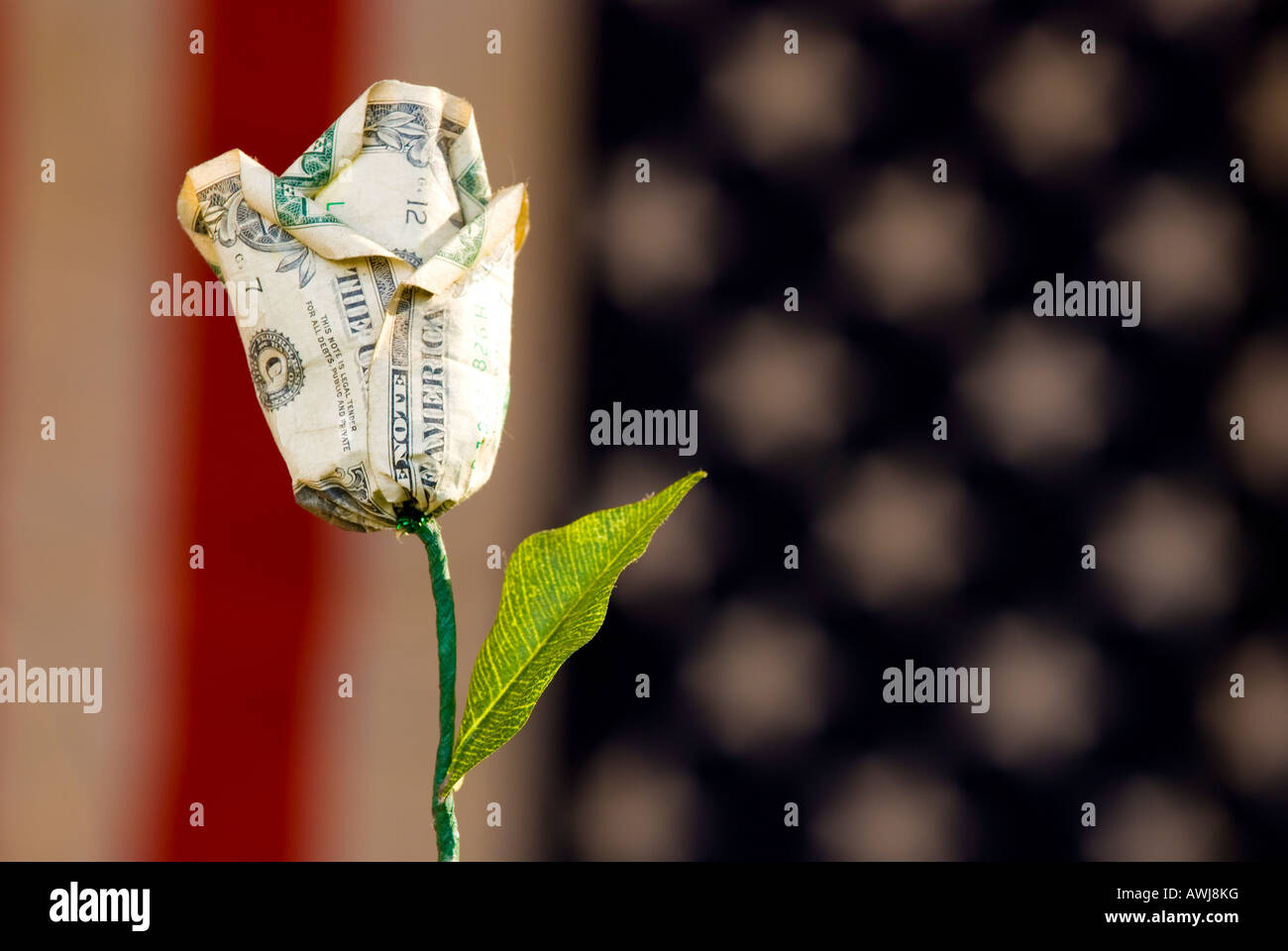 Patriotic Money - Rose folded dollar bill in front of a US Flag Stock ...