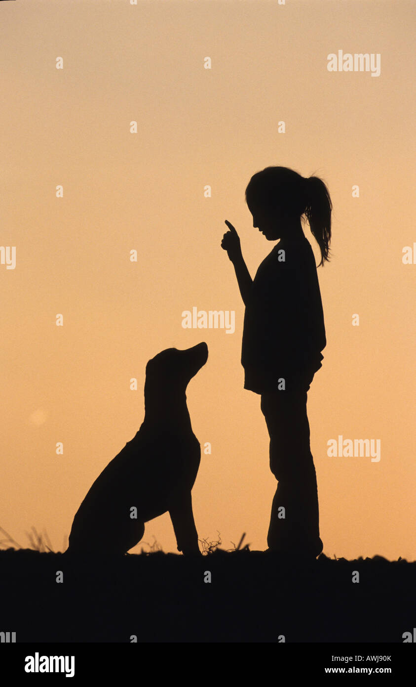 Rhodesian Ridgeback (Canis lupus familiaris). Girl training puppy Stock ...