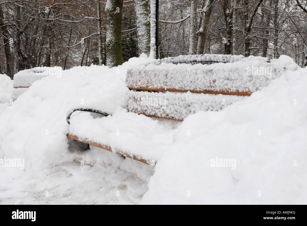 Park bench in Vladimir, Russia Stock Photo - Alamy