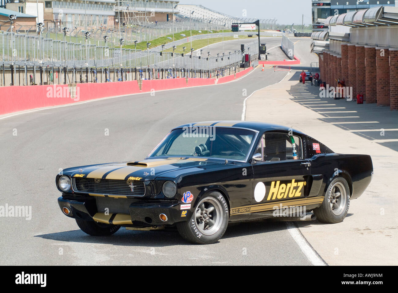 Shelby Mustang GT350H car racing on a circuit in the uk Stock Photo - Alamy