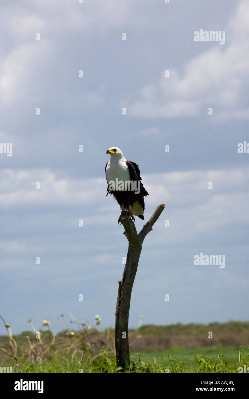 Omo river delta hi-res stock photography and images - Alamy