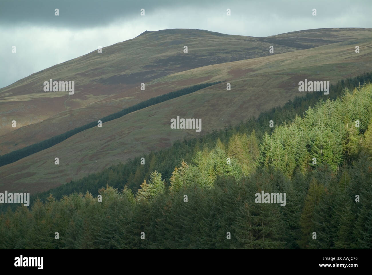 Cheviot Hills Northumberland Stock Photo - Alamy