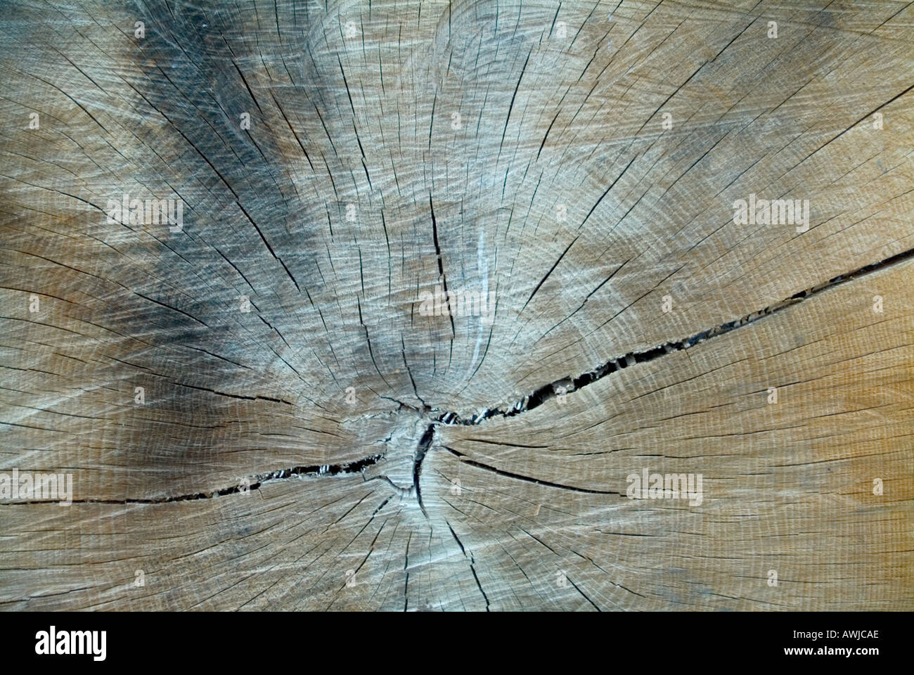 End section hi-res stock photography and images - Alamy