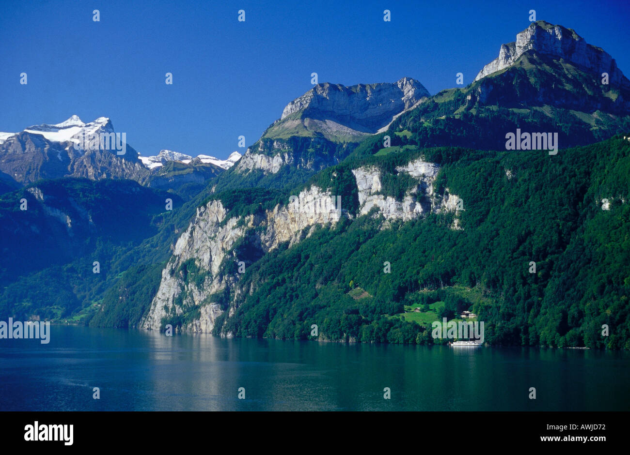 Lake in front of mountains, Lake Lucerne, Swiss Alps, Switzerland Stock ...