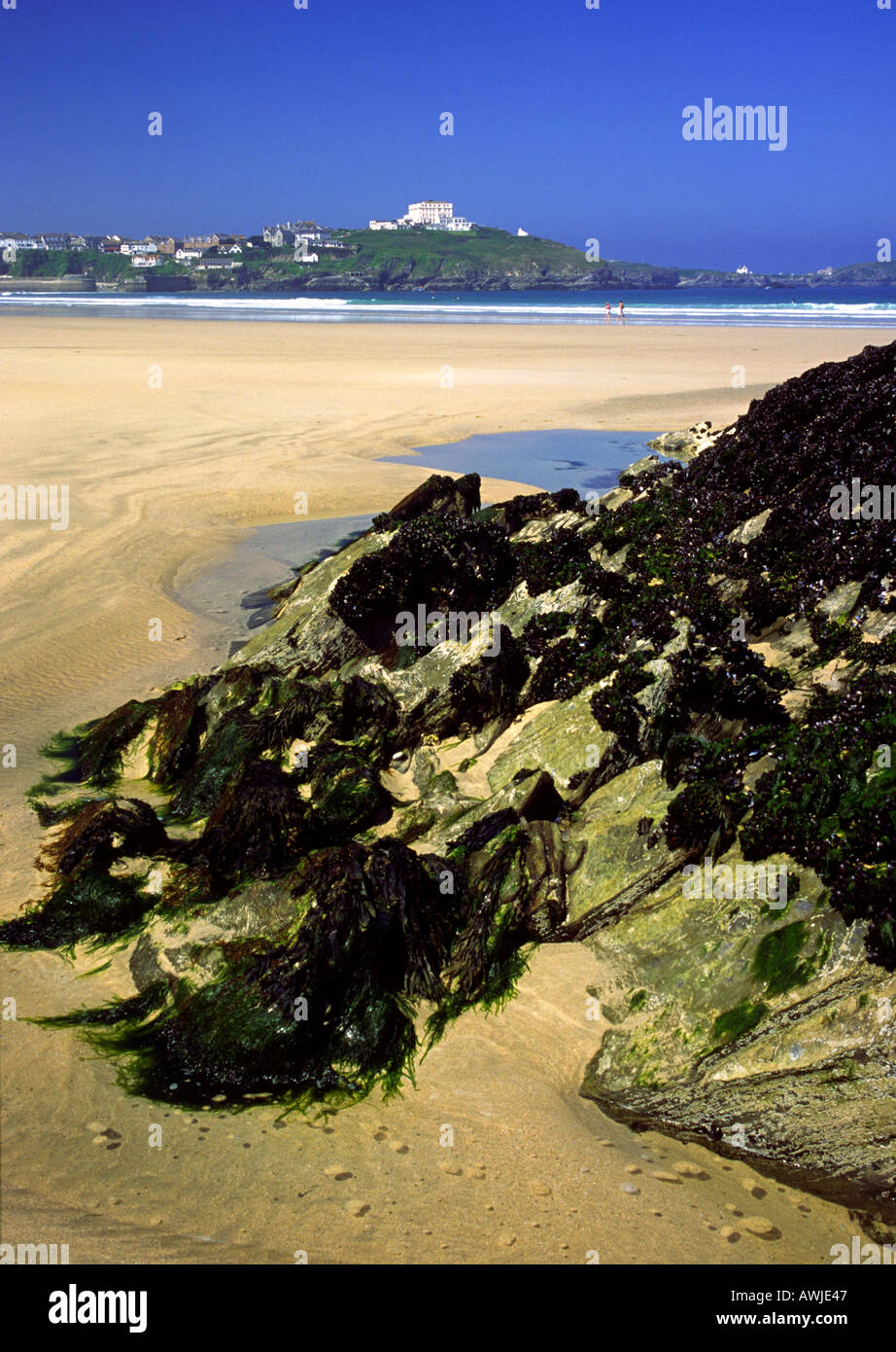 View of Tolcarne Beach in Newquay Cornwall England with rocks in the ...