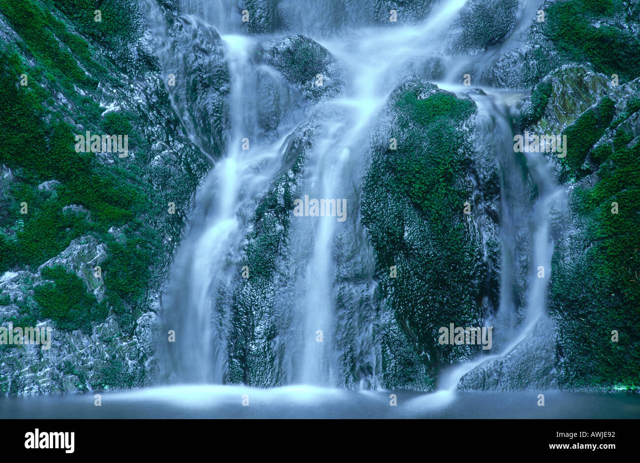 Mountain waterfall, Hautes Fagnes, Ardennes, France Stock Photo - Alamy
