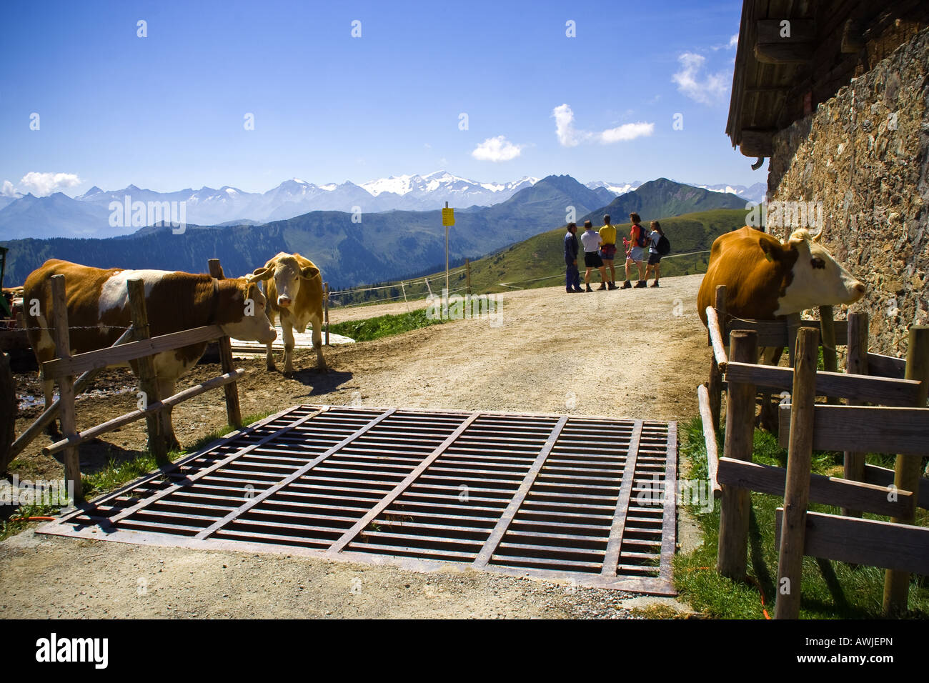Cattle Grid Austria Stock Photo - Alamy