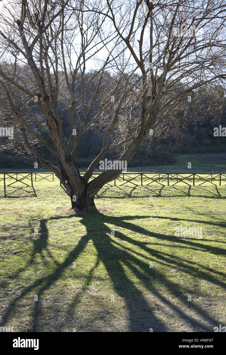 Long shadows on grassy hi-res stock photography and images - Alamy