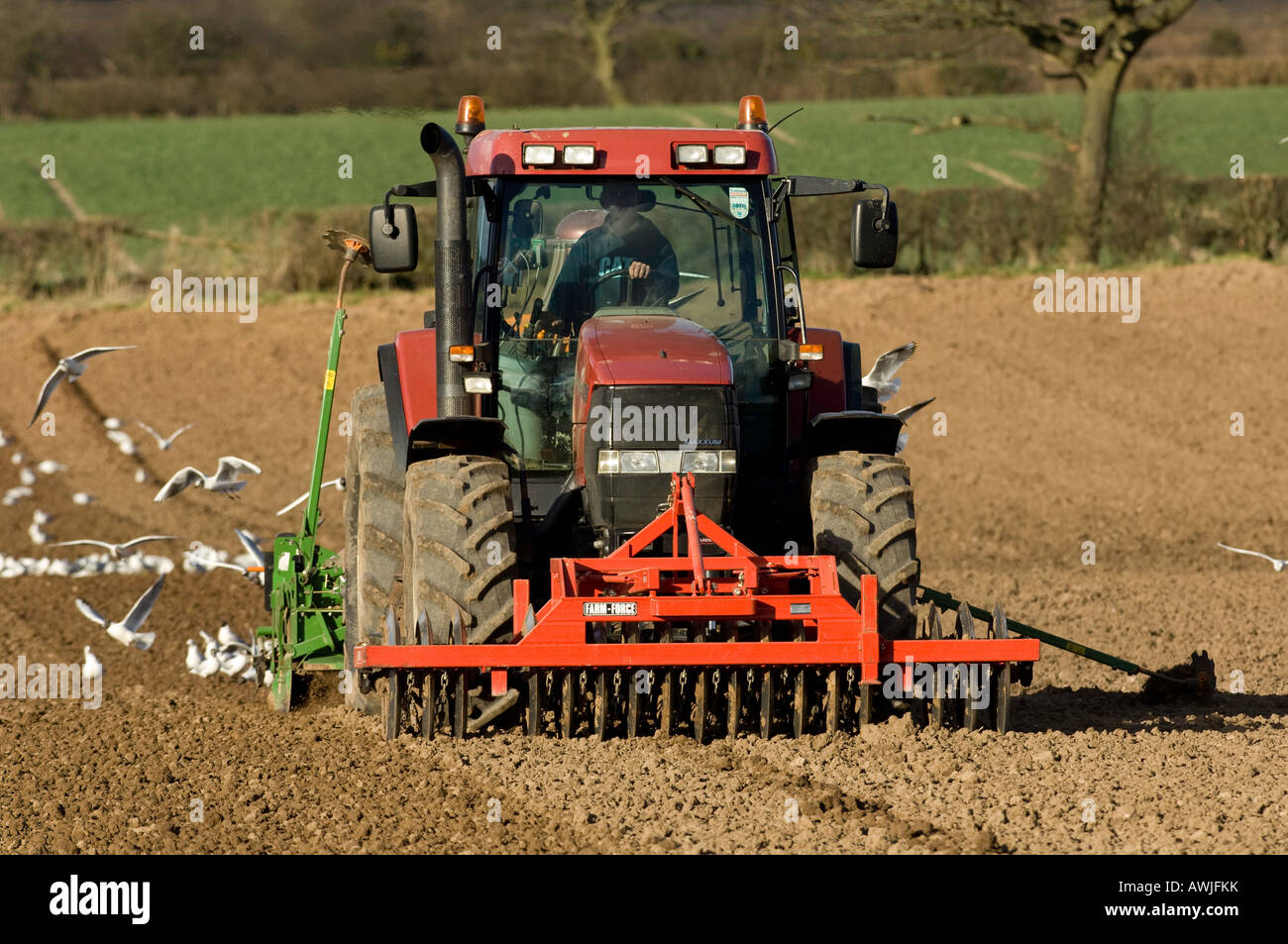 Farmer planting beans with a pneumatic seed drill mounted on a CASE ...
