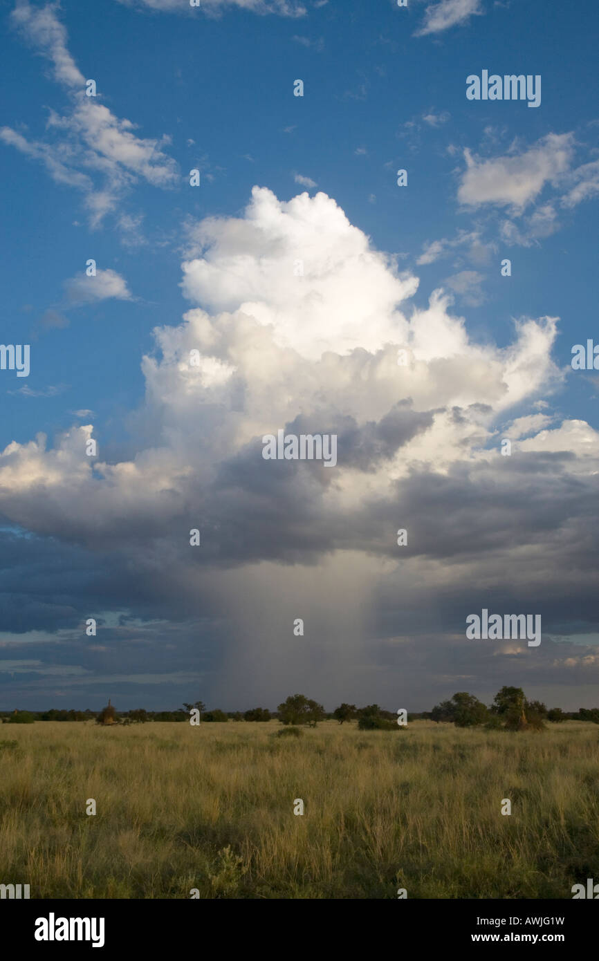 Grassland and Rain in the Murele Game Reserve, Omo River Valley ...