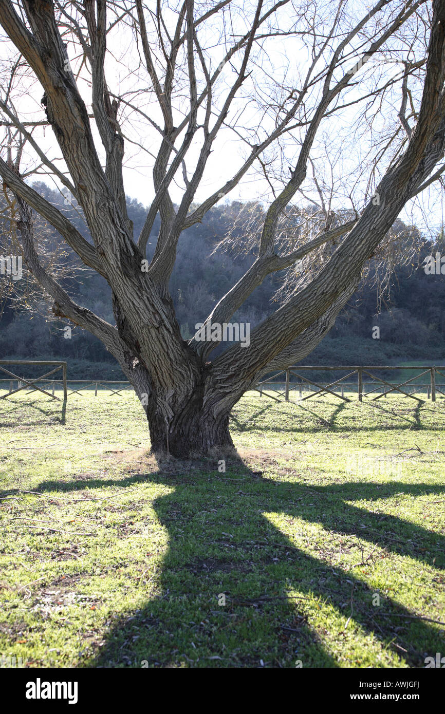 Long shadows on ground hi-res stock photography and images - Alamy