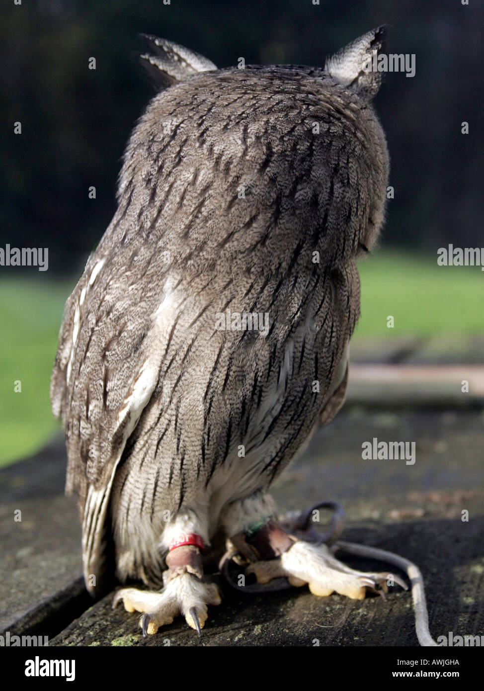 Watch out behind you hi-res stock photography and images - Alamy