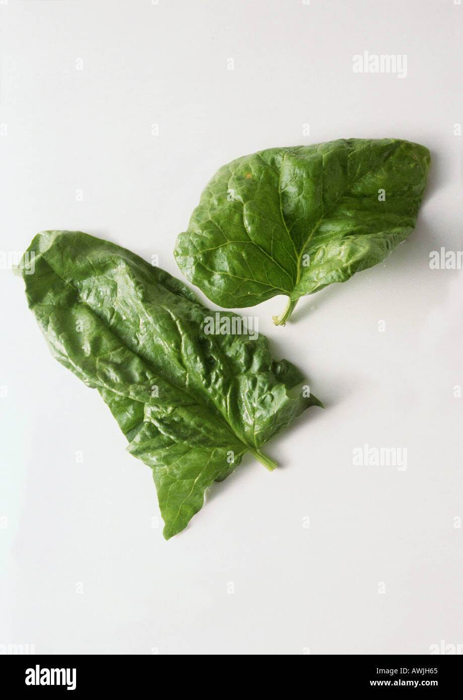 Elevated spinach hi-res stock photography and images - Alamy