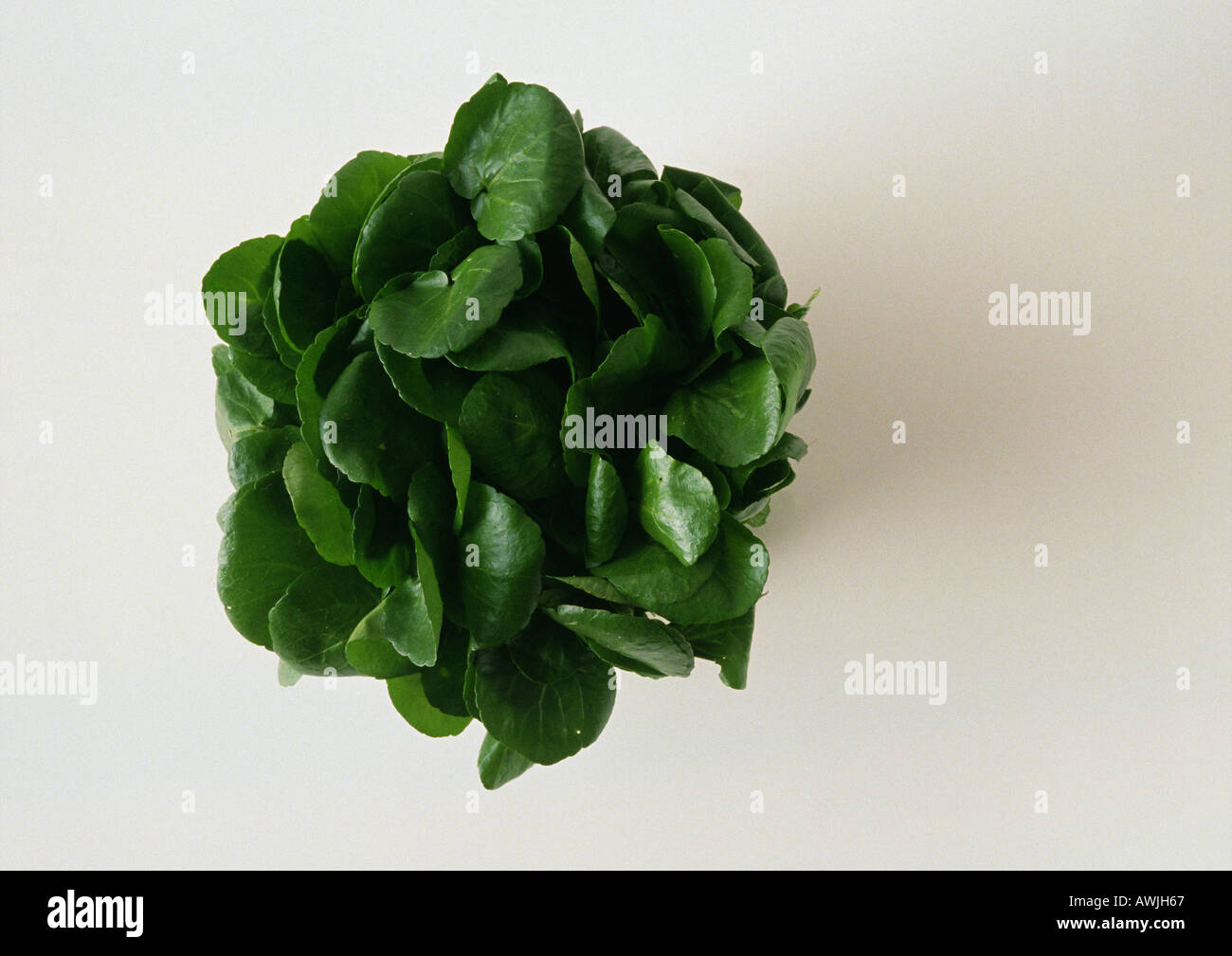 Watercress from above hi-res stock photography and images - Alamy