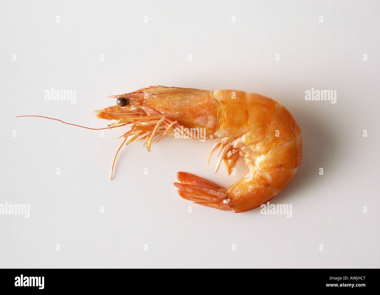 Healthy nutritional profile hi-res stock photography and images - Alamy