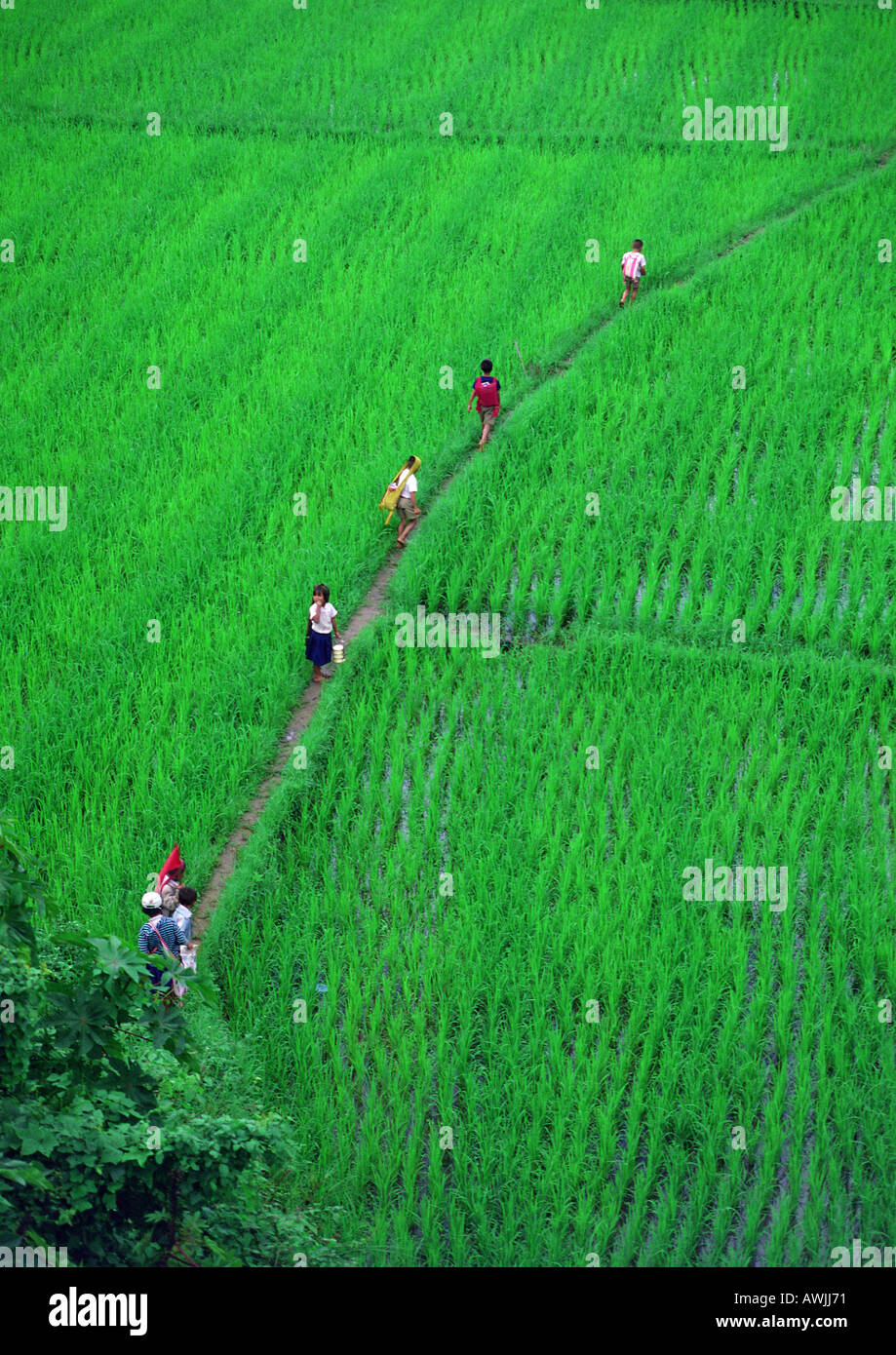 Boy walking off into distance hi-res stock photography and images - Alamy