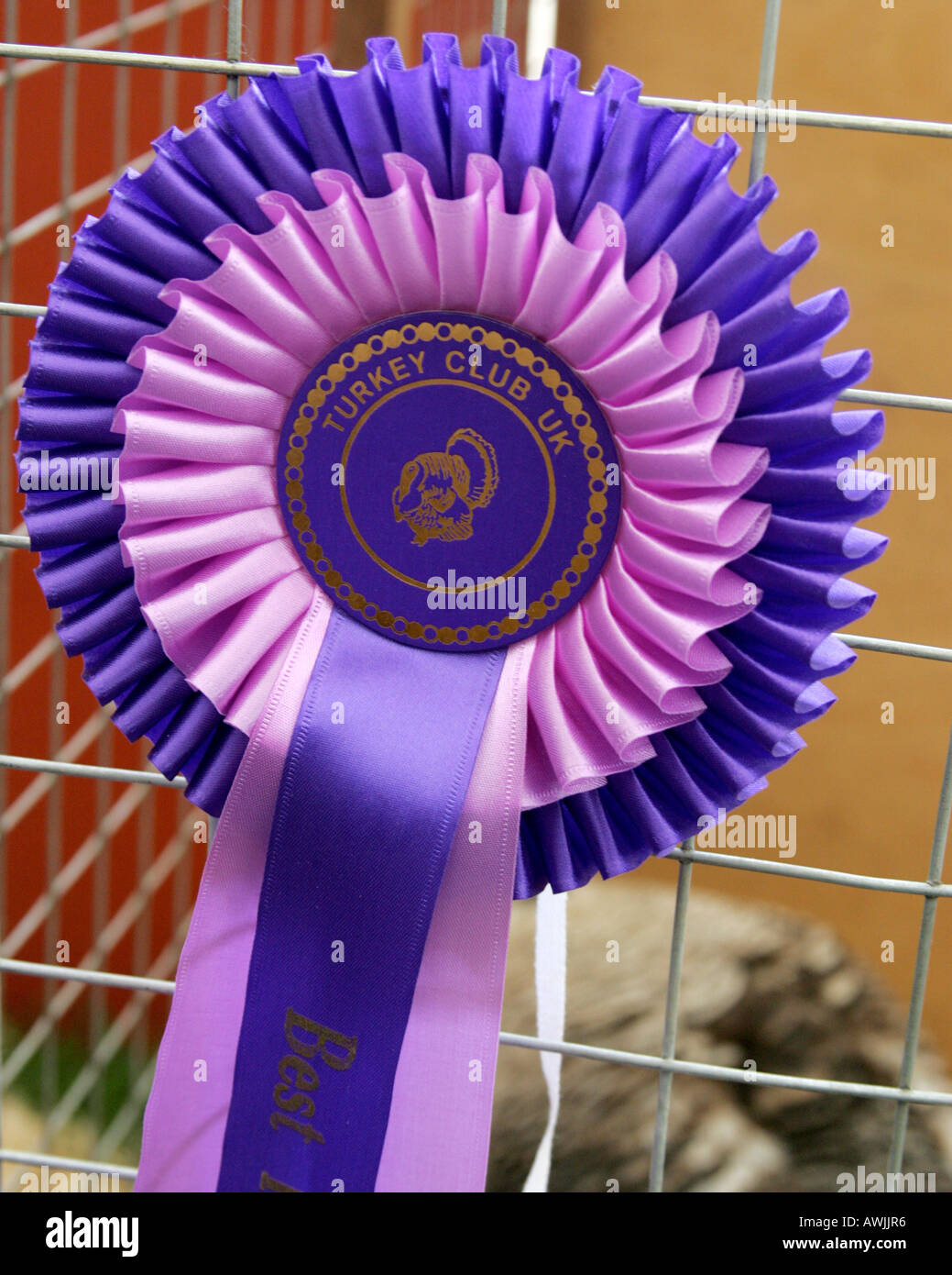 Prize Turkey High Resolution Stock Photography and Images - Alamy