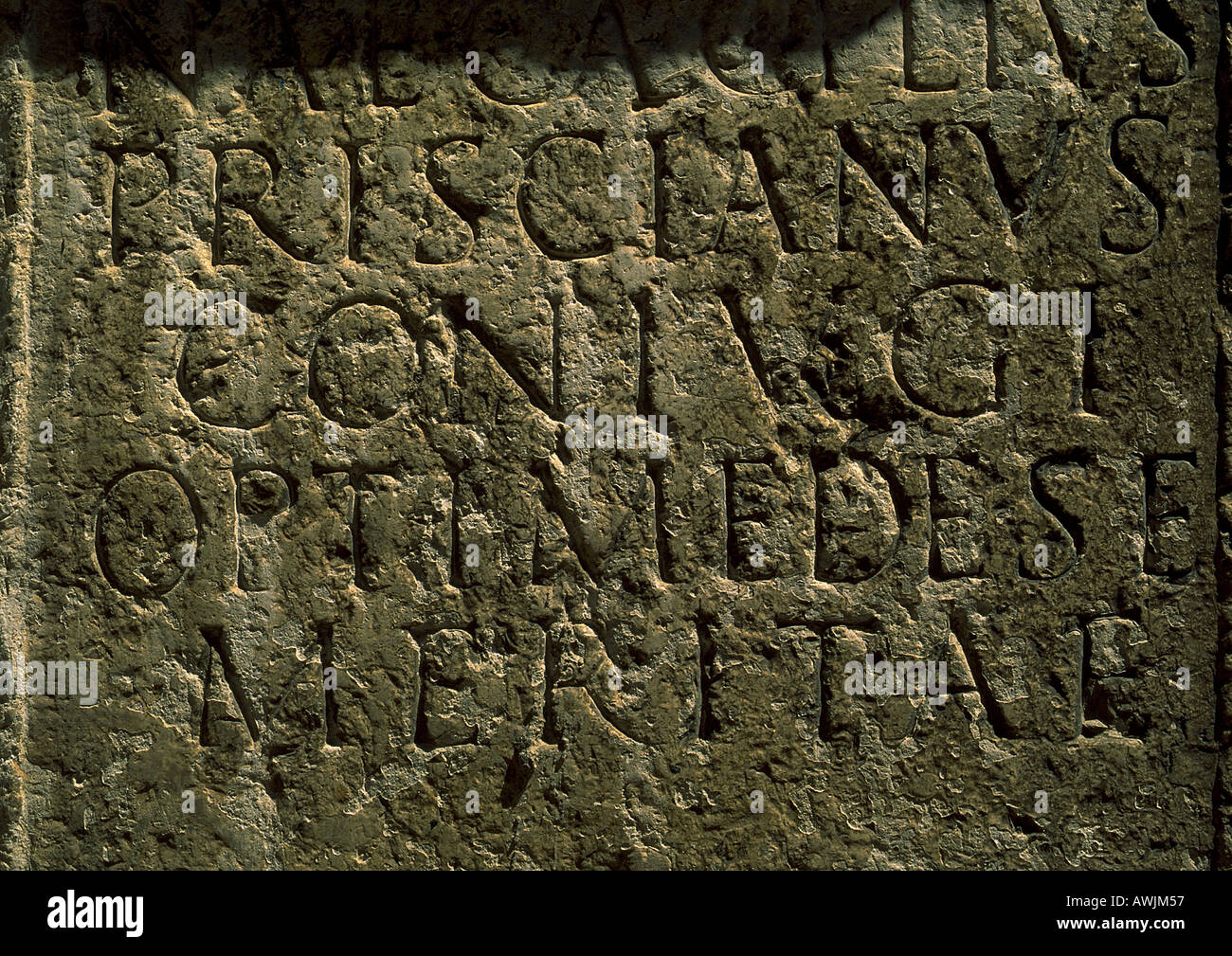 Latin engraved in stone wall Stock Photo - Alamy