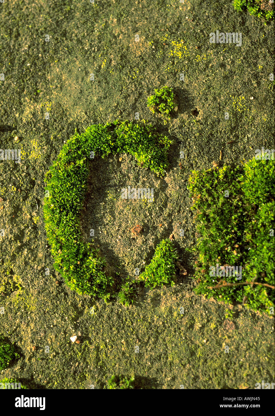 Moss letter hi-res stock photography and images - Alamy