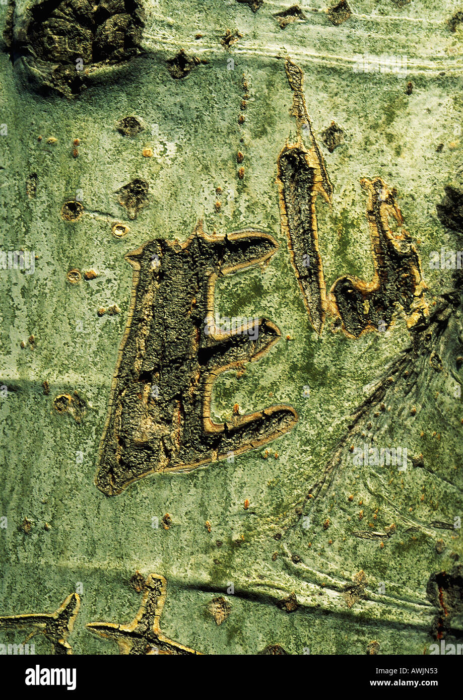 Letter e hi-res stock photography and images - Alamy