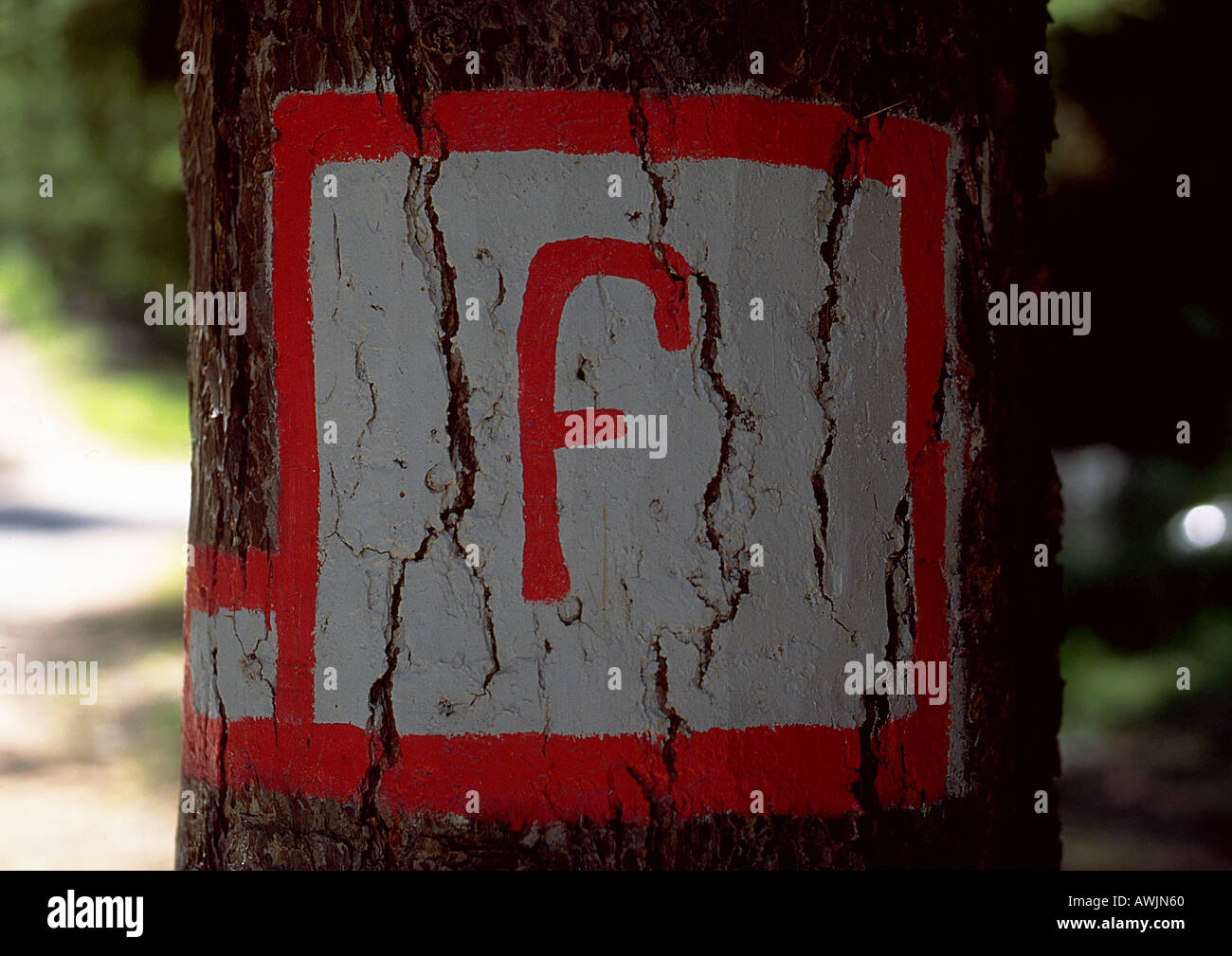 Painted letter f hi-res stock photography and images - Alamy