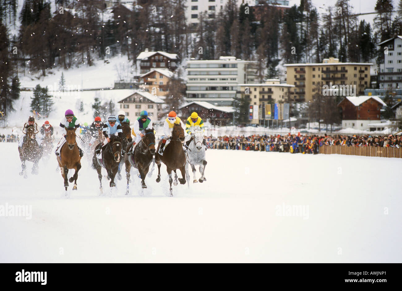 St moritz horse hi-res stock photography and images - Alamy