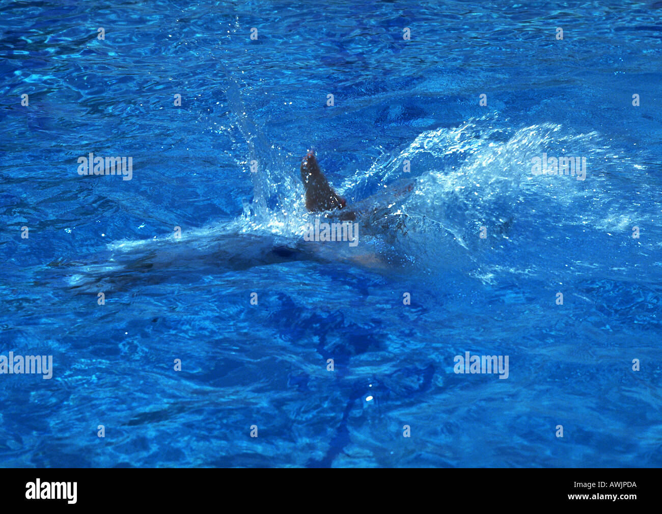 Person underwater in swimming pool Stock Photo - Alamy