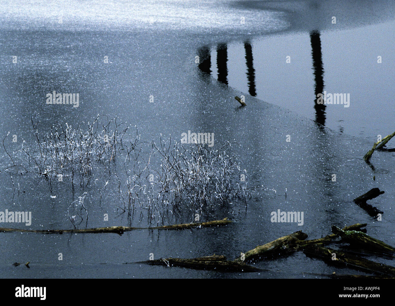 Icy vegetation sticking out of partially iced-over water surface Stock ...