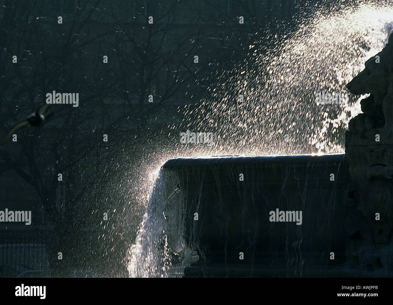 Water spray, backlit Stock Photo - Alamy